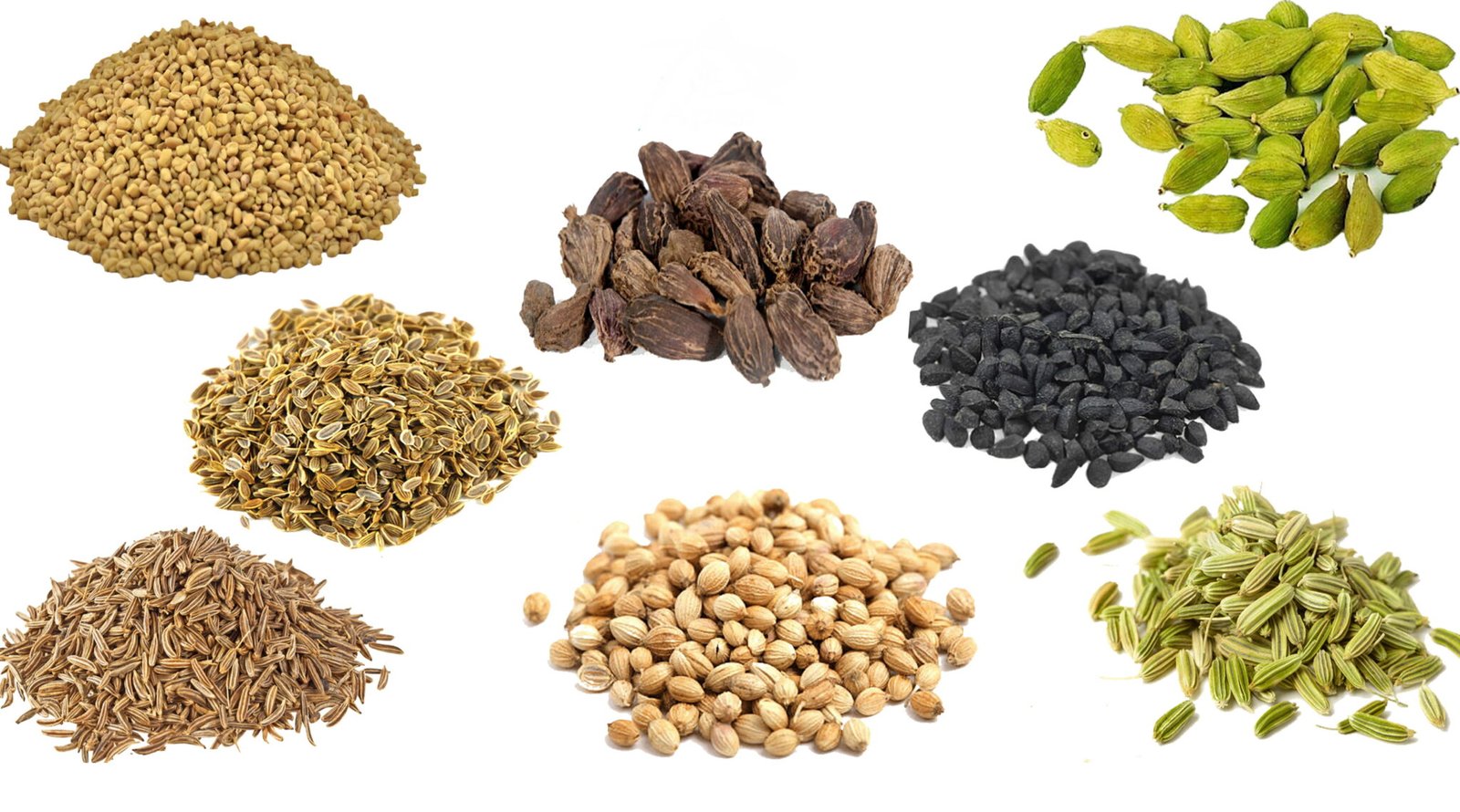 Products - Apex International