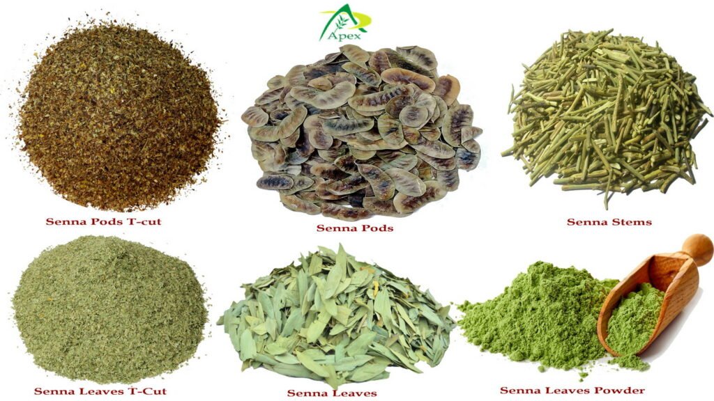 Senna Tea bags – Apex International