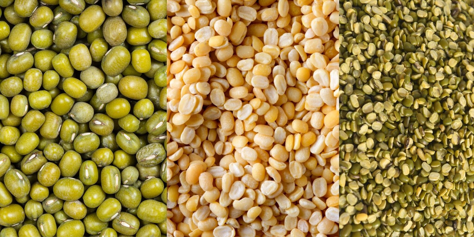 Moong (Vigna Radiata) Green Moong Lentils - Apex International