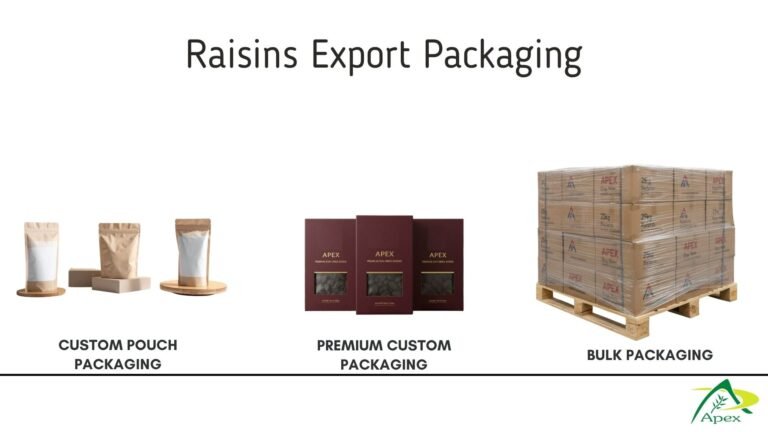 Golden & Malayar Raisins -Bulk Raisin Supplier & Exporter India